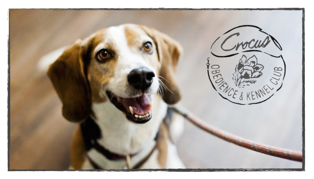 Crocus Obedience & Kennel Club